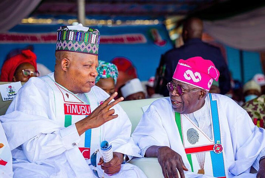 Shettima: VP slot tussle could distract Tinubu — APC chieftain
