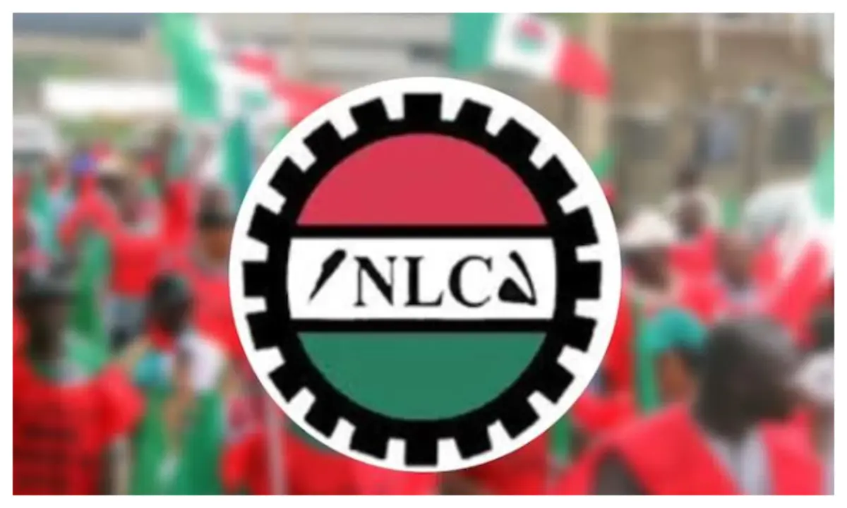 Nigeria Labour Congress Demands Release of Withheld Local Government ...