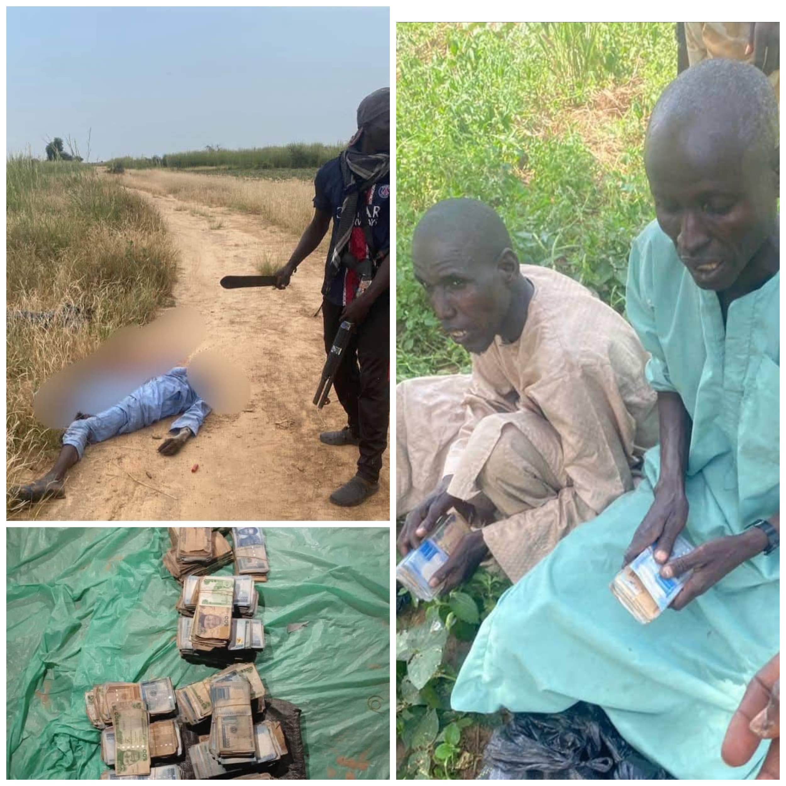 Boko Haram troops record major success in Borno State operations ...